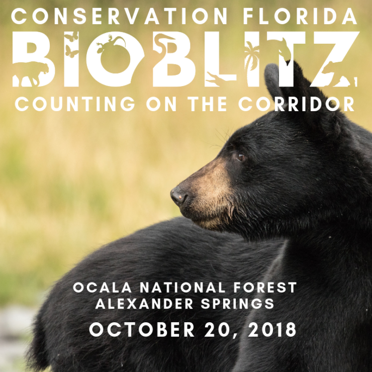 Bioblitz: Counting the Corridor - Fish & Wildlife Foundation of Florida