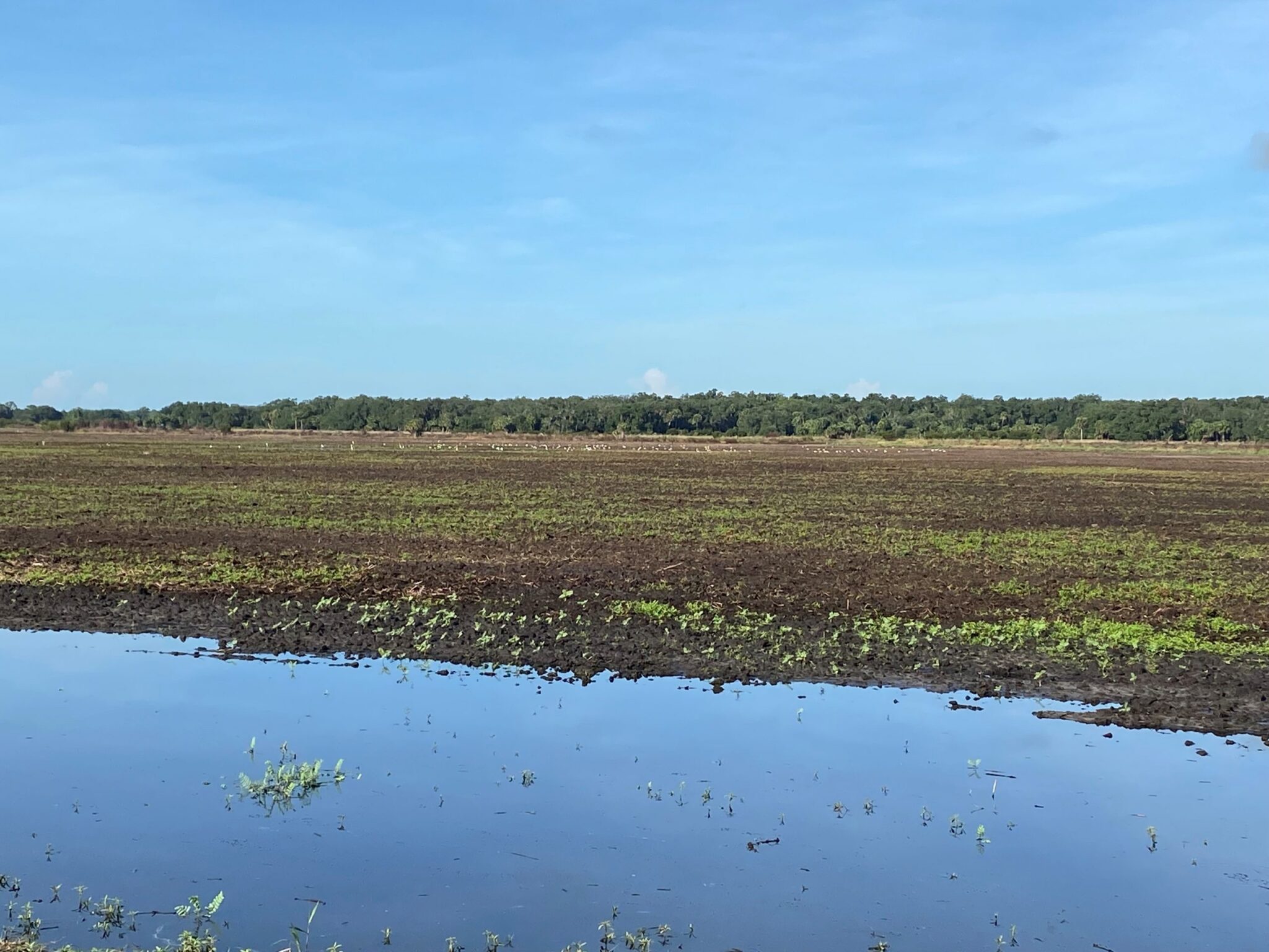 Grants At Work: Wetland Restoration of Rolling Meadows - Fish ...