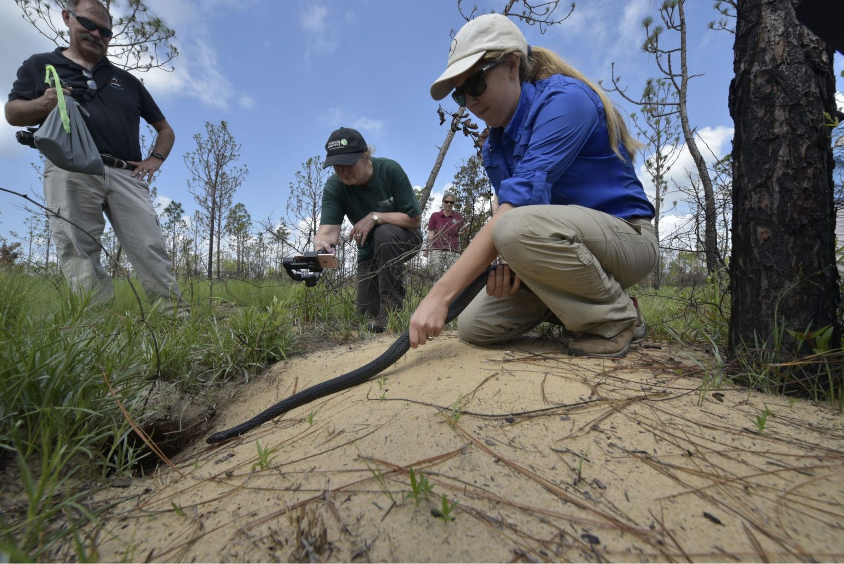 Conserving Florida’s Wildlife - Fish & Wildlife Foundation of Florida
